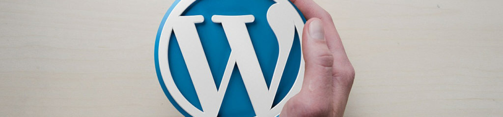 ACF - WordPress Advanced Custom Fields ⋆ WordPress für alle